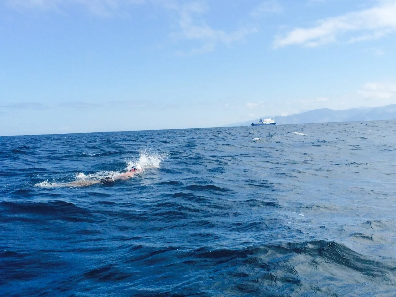 Cook Strait Marathon Swim — NZOWSA New Zealand Open Water Swimming ...