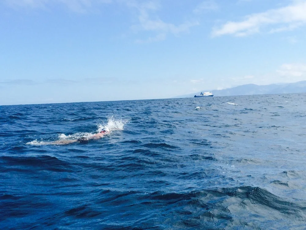 Cook Strait Marathon Swim — NZOWSA New Zealand Open Water Swimming ...