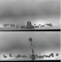 Research — PhySM - Physics of Soft Matter