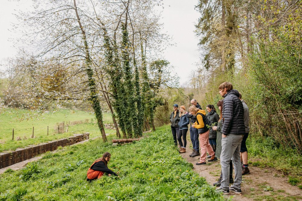 Book Foraging Walks In Bristol | Book Foraging Experiences In ...