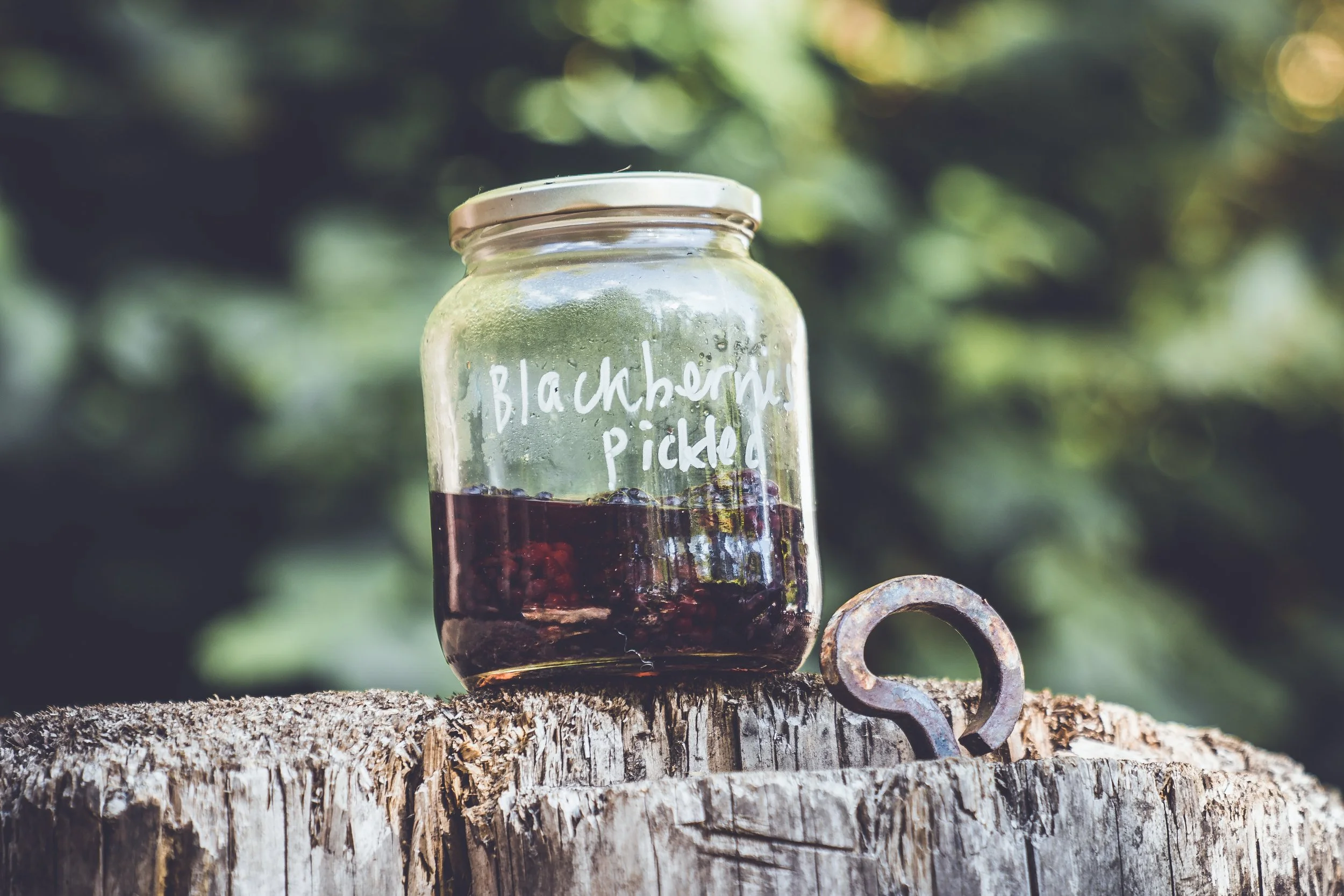 Foraging Walk Bristol | Private Foraging Workshop Experience | Foraging ...