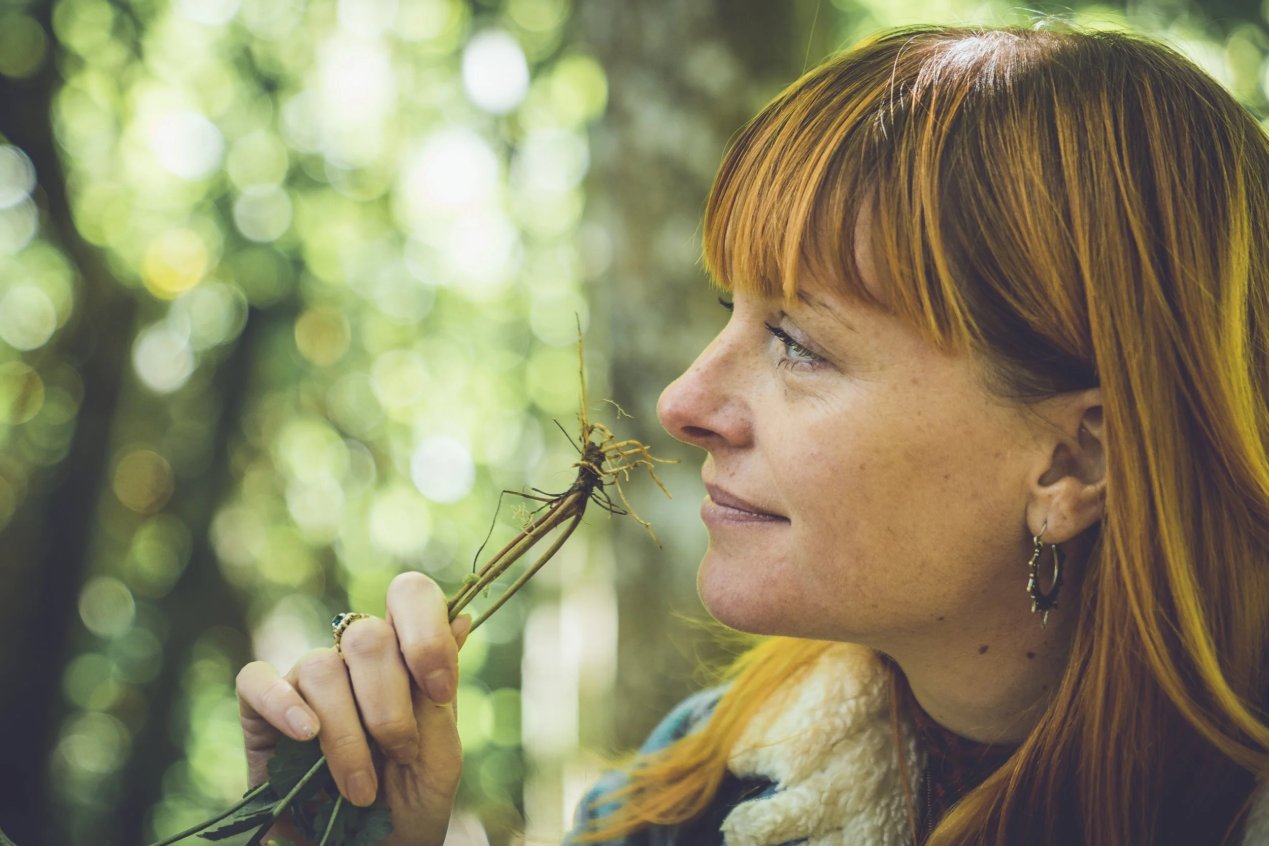 Foraging Walks In Bristol | Foraging Walks In North Wales — Living Wild ...
