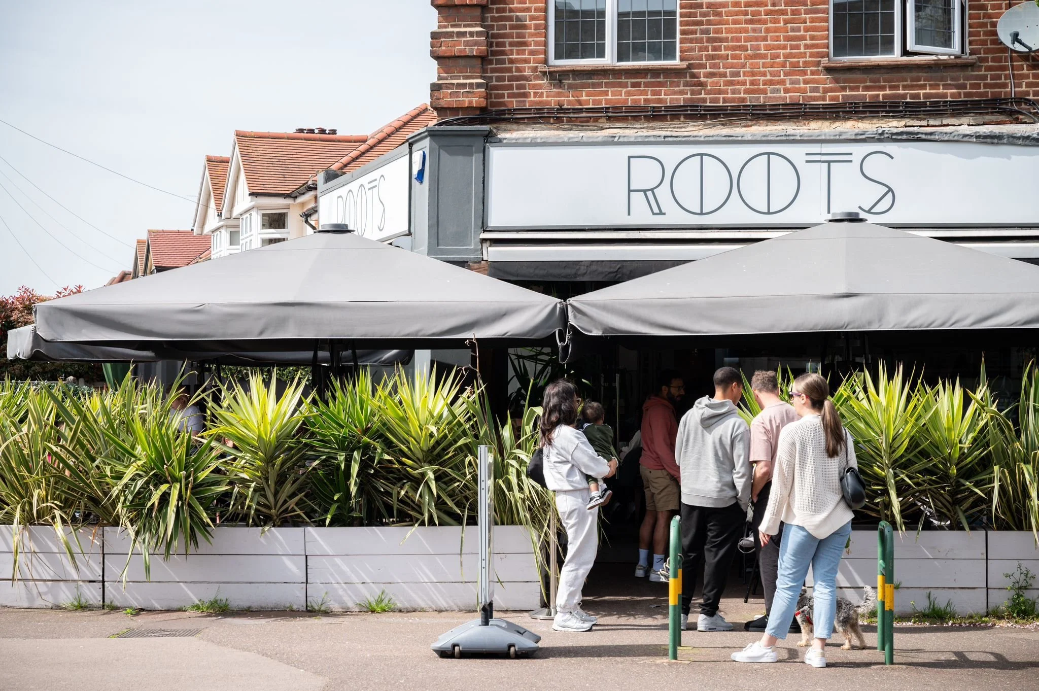 Roots Upminster