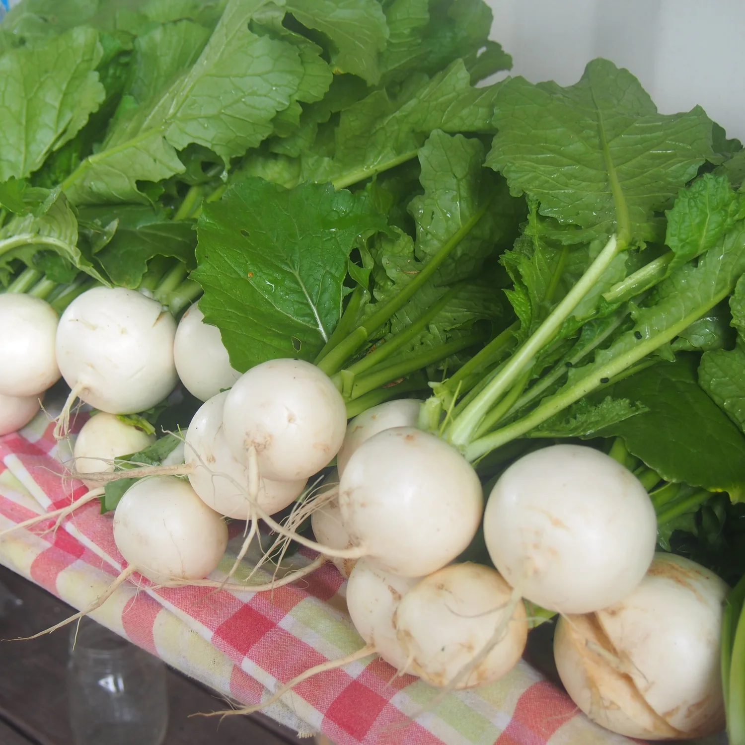 White Turnips