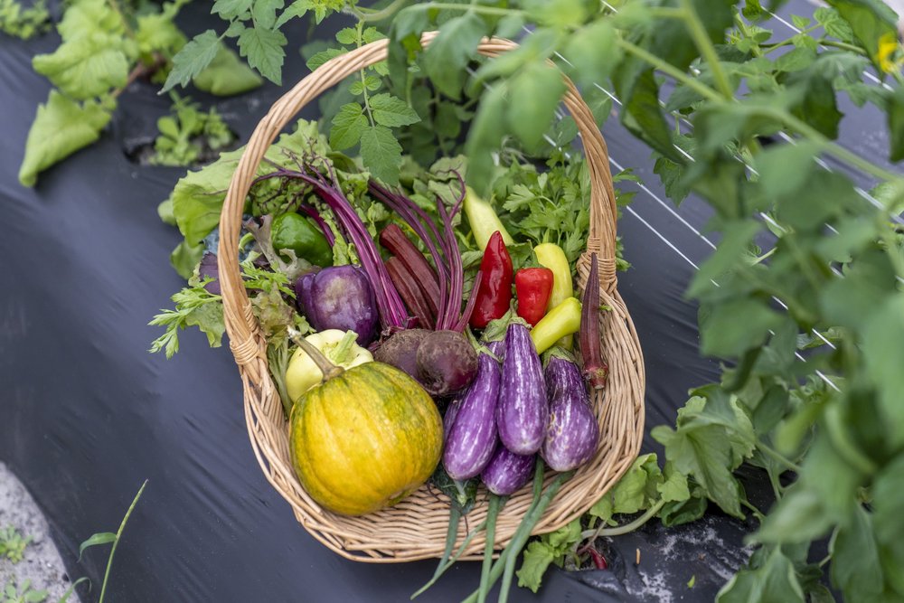 Our Produce — Kai-Kai Farm - Produce - Farm Dinners - Weddings & Events ...