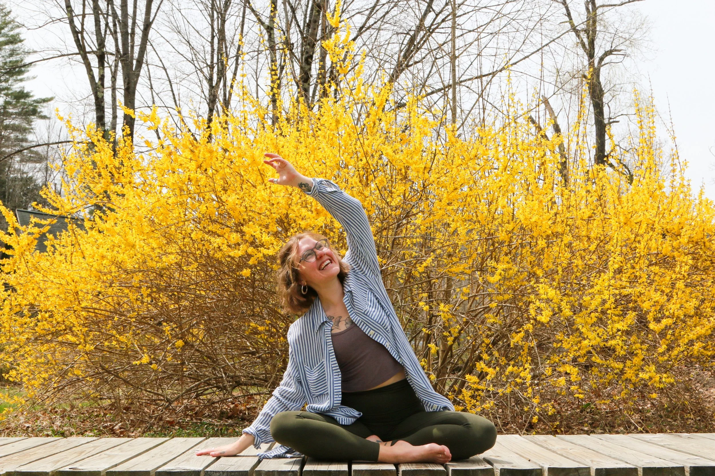 Sophie Lyons — Willow