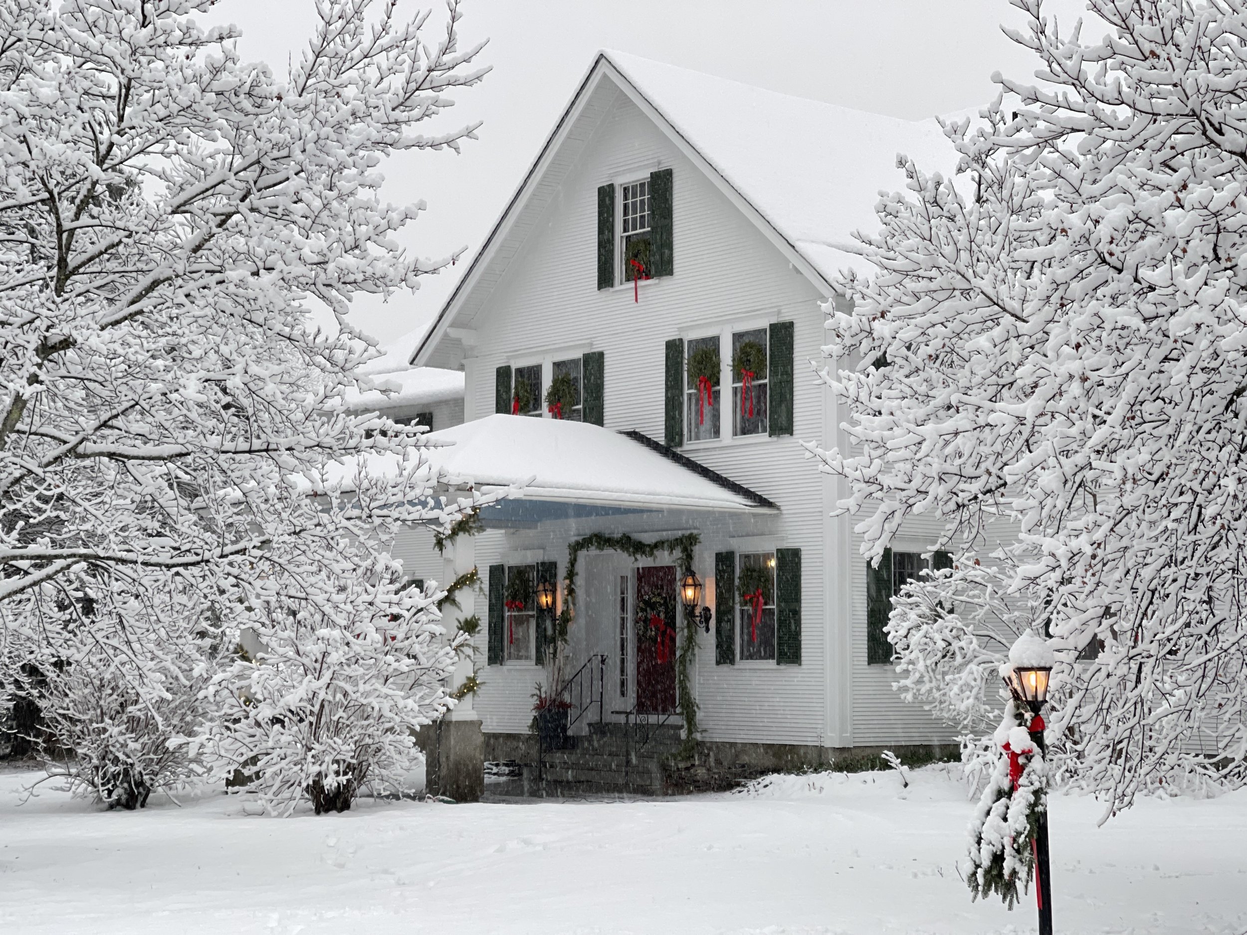 The Main House — Willow