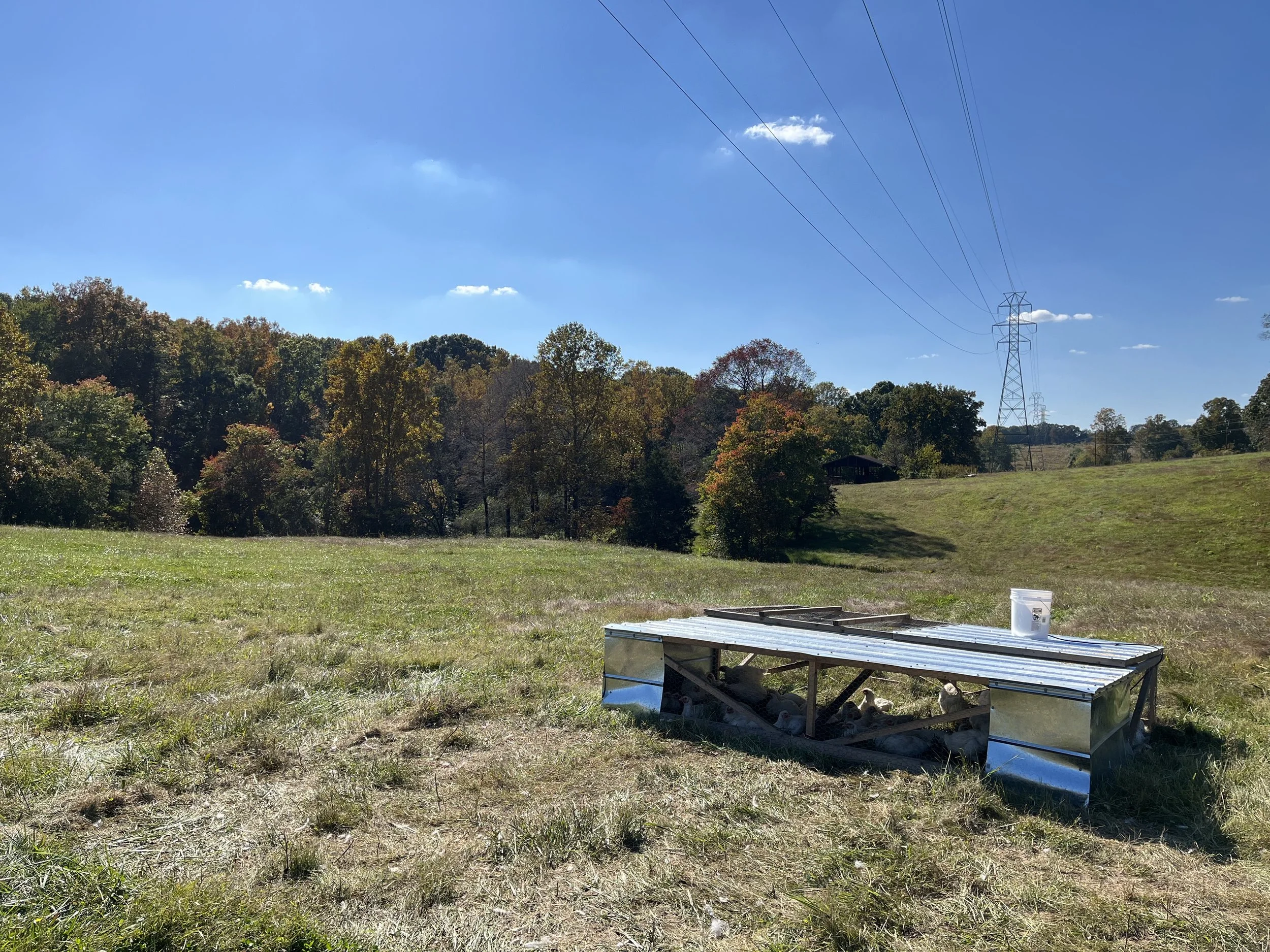 Events — True Cut Ranch