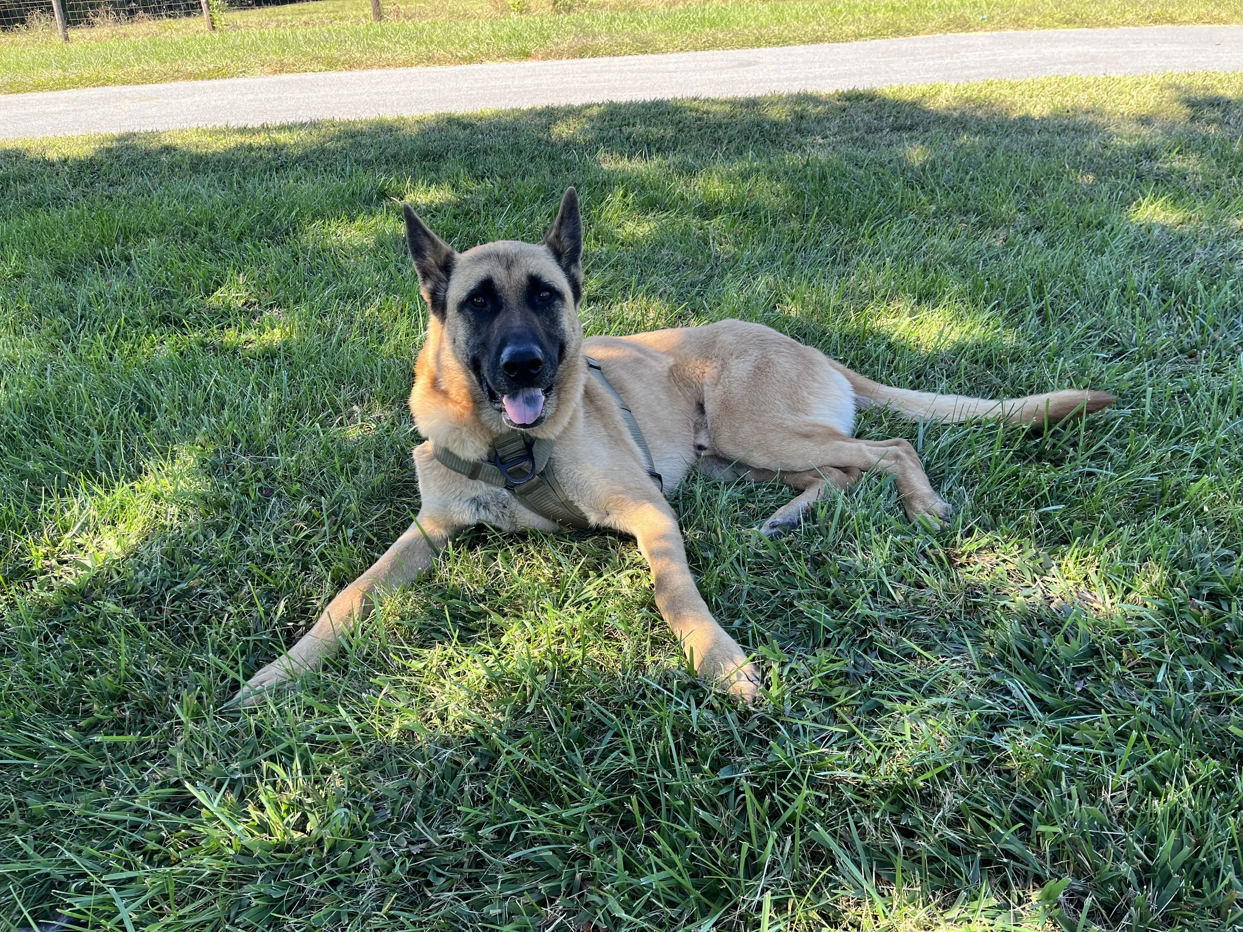 About True Cut Ranch — True Cut Ranch