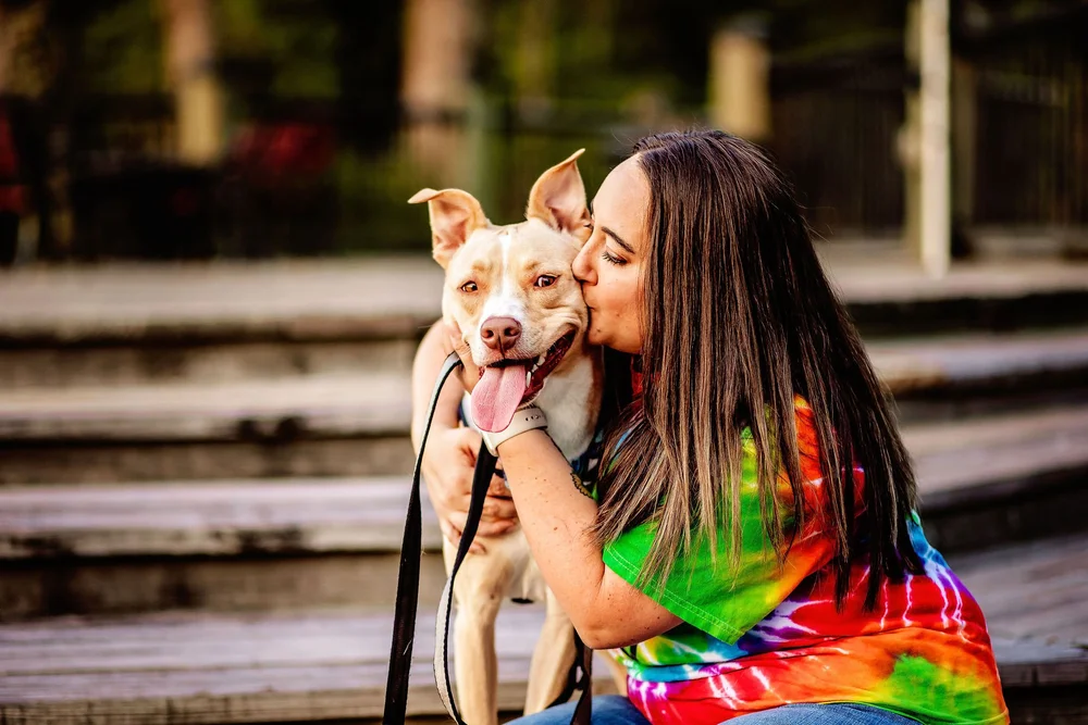 Kay's K9s: Dog Training
