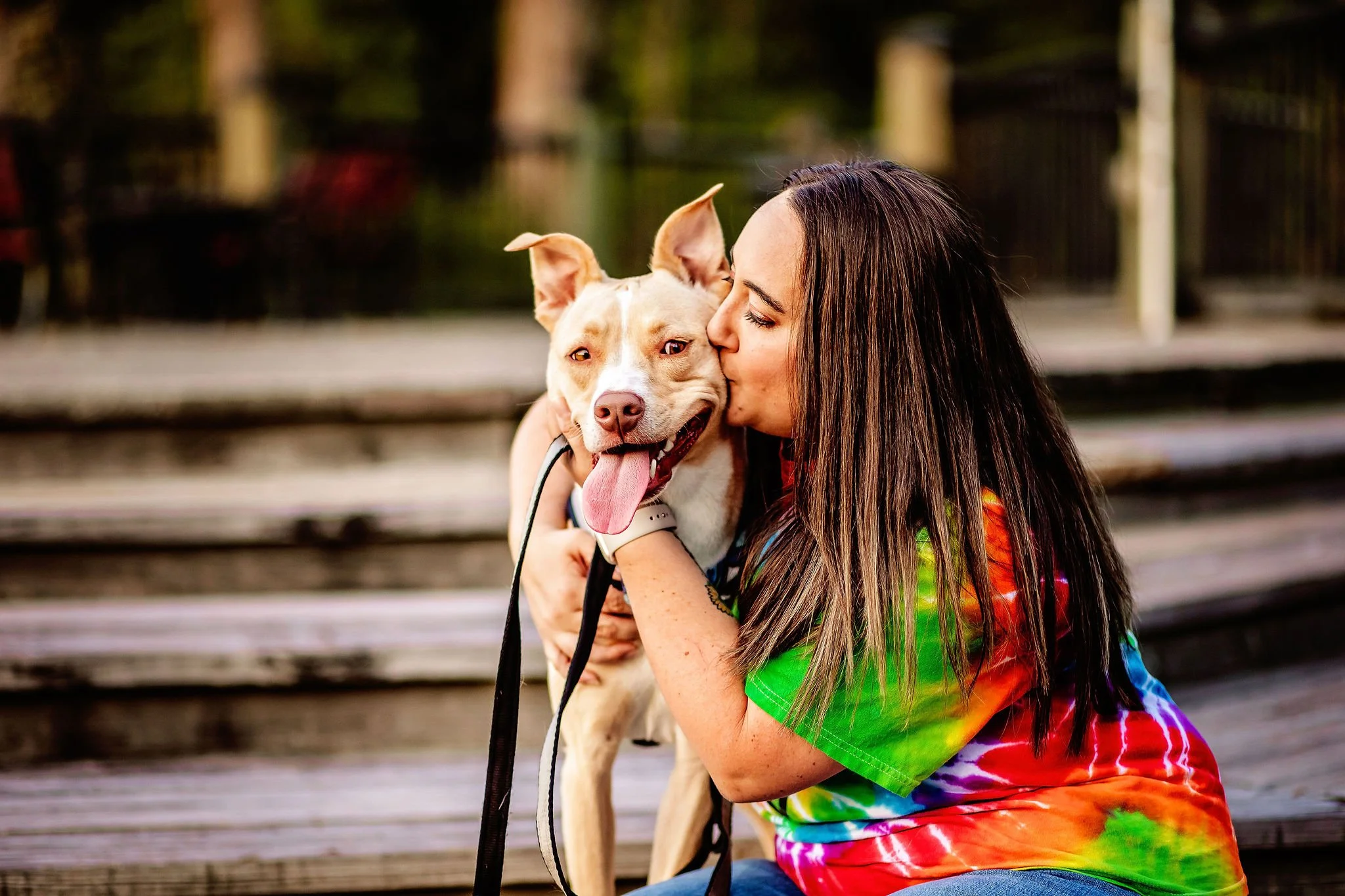 Kay's K9s: Dog Training