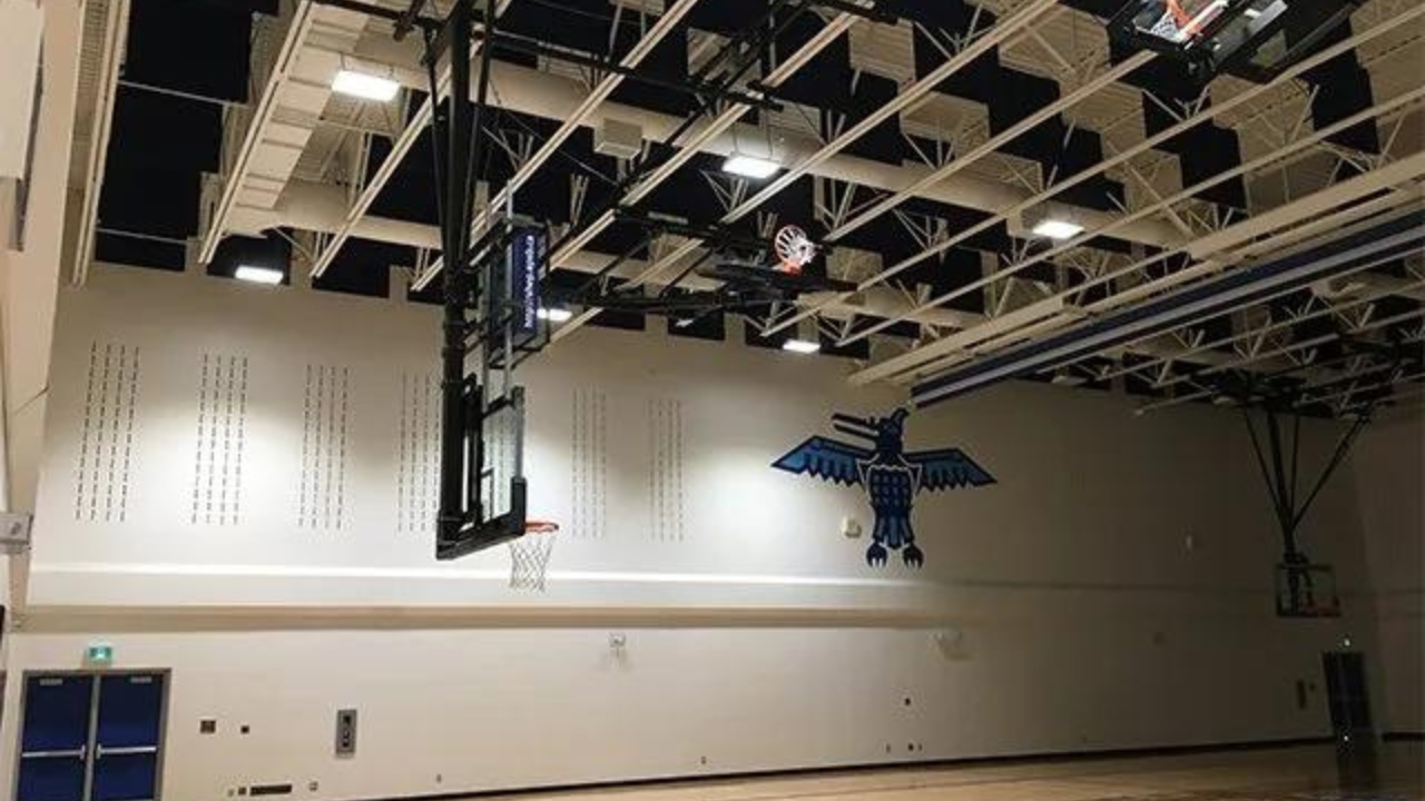 Echotrol Acoustic Baffles - Standard — Western Noise Control ...