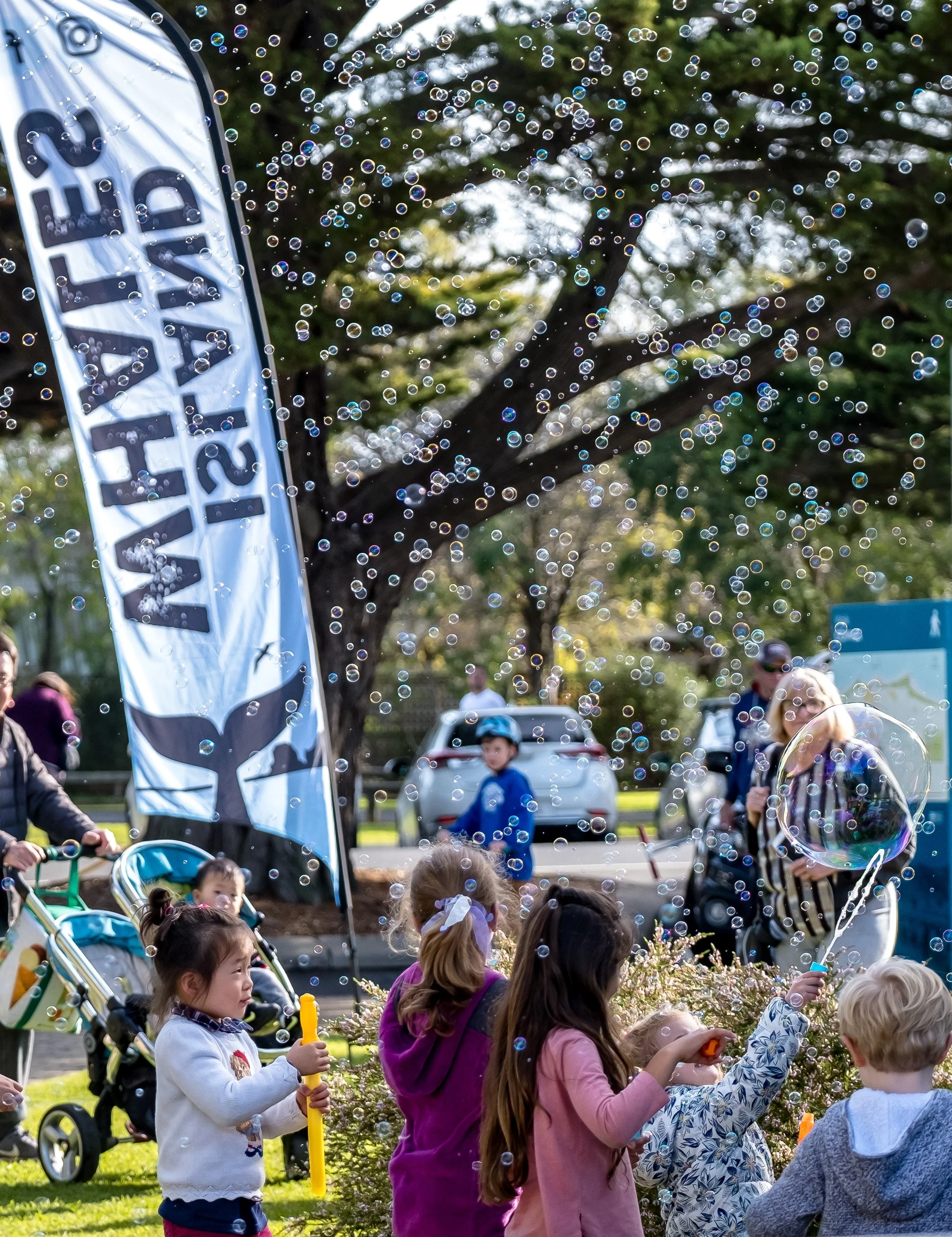 Saturday — Island Whale Festival Phillip Island