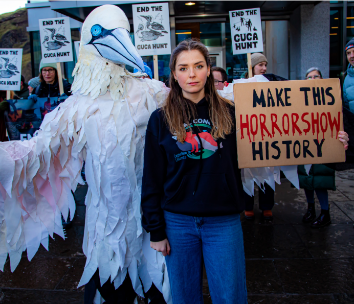 End the Guga Hunt — Animal Concern