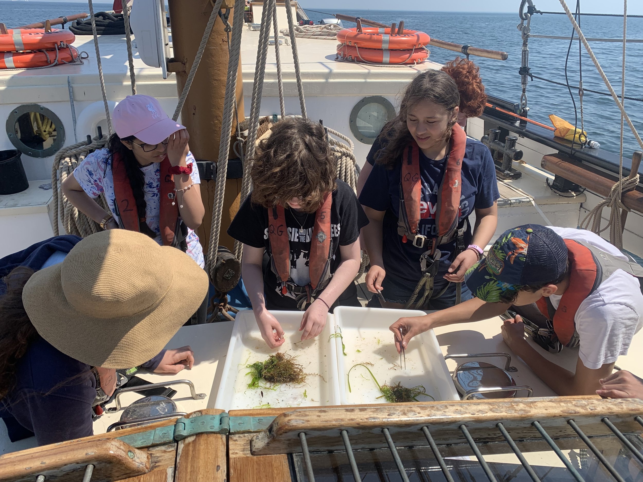Voyages for Groups — The Cirdan Sailing Trust - Sailing Voyages For ...