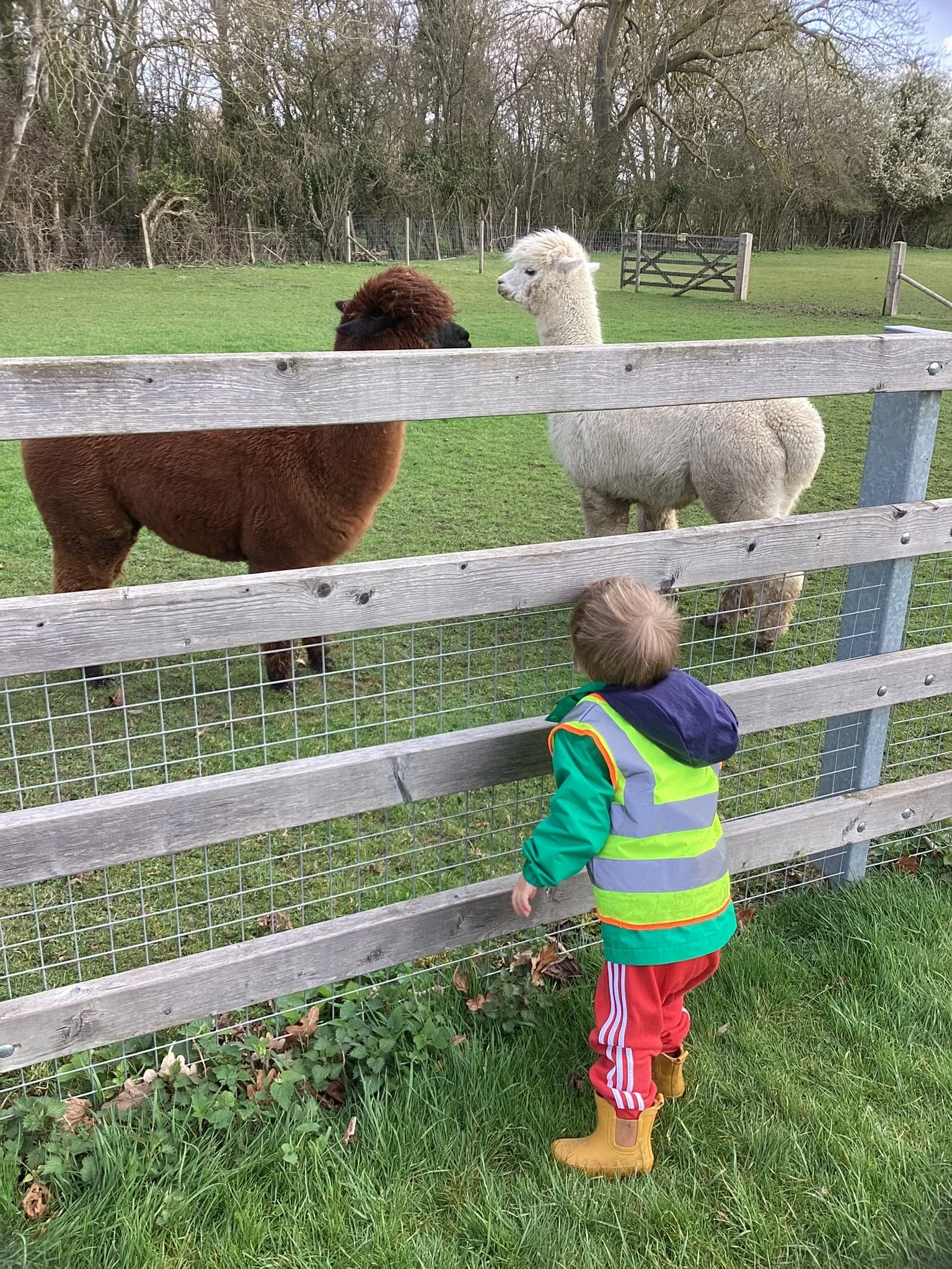 Little Bee's Day Nursery