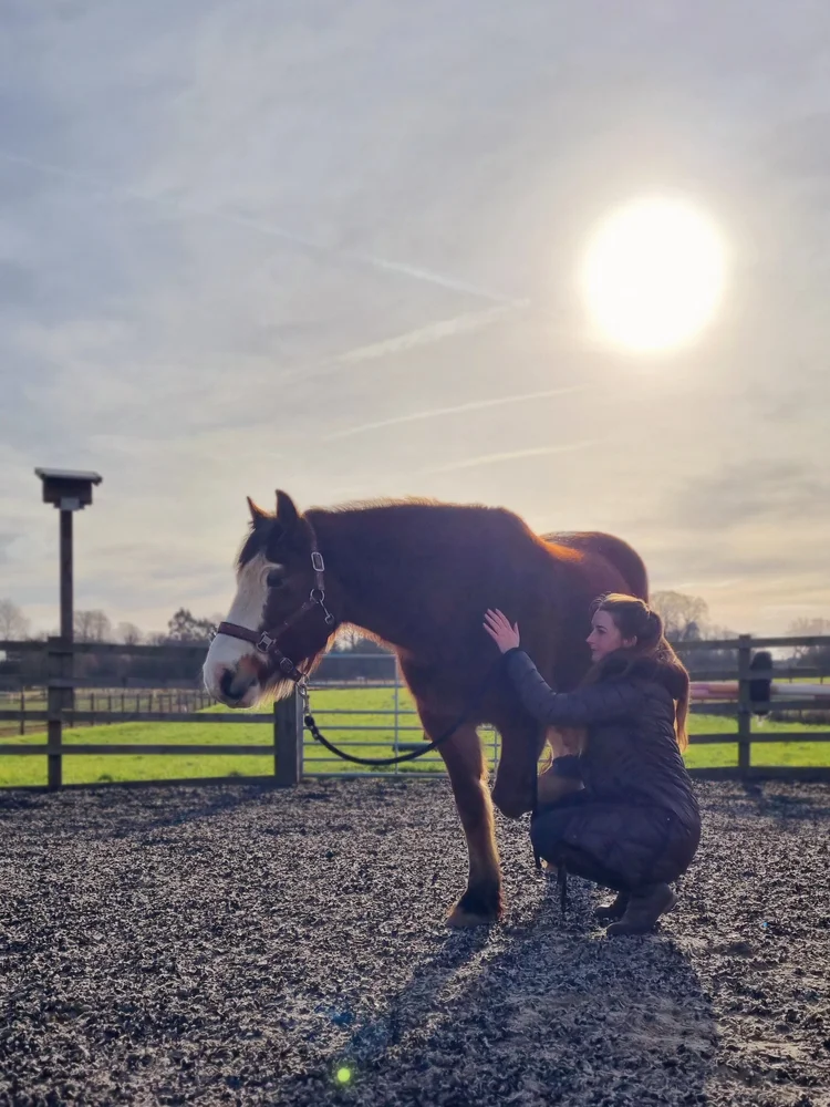 Yasmin Stuart Equine Physio