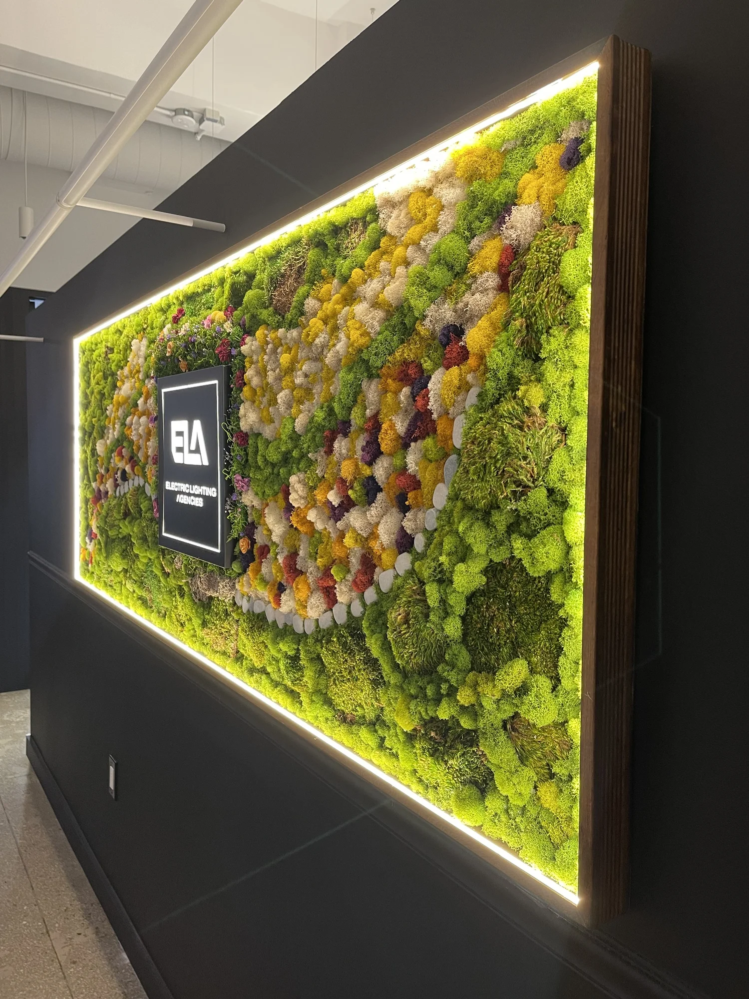 Light Art / Green Wall Design — MYLD Studio LLC