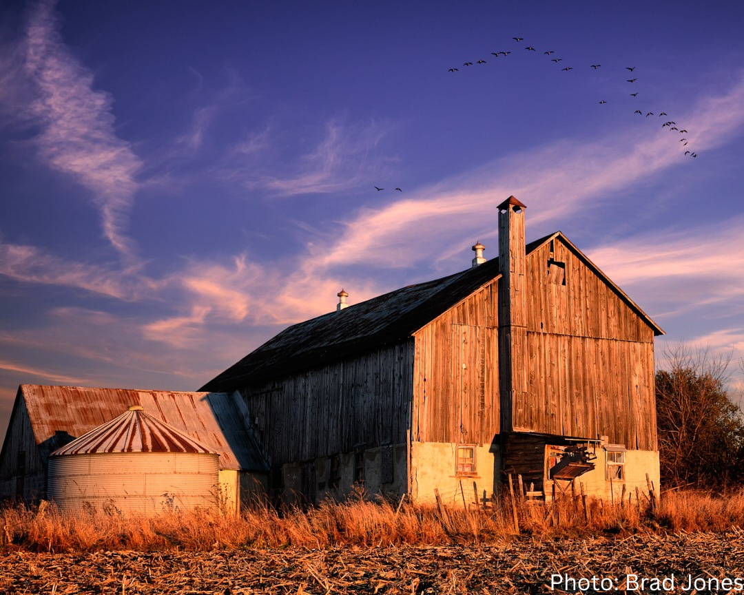 Ward 21 (Rideau-Jock)