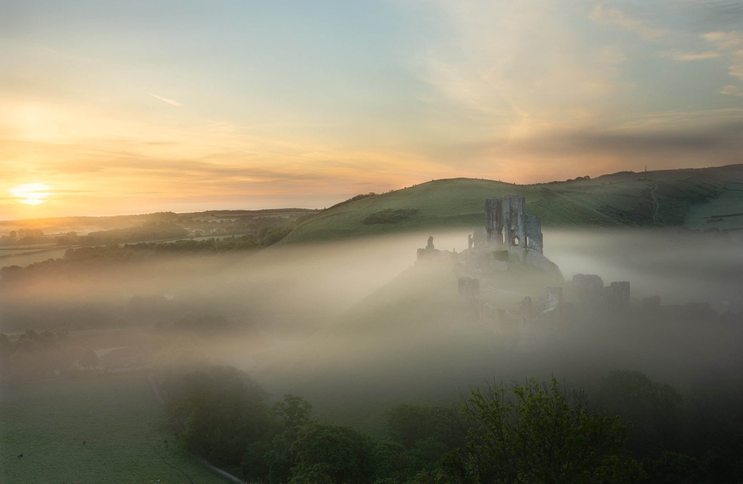 Store 2 — Dimitry Papkov Photography