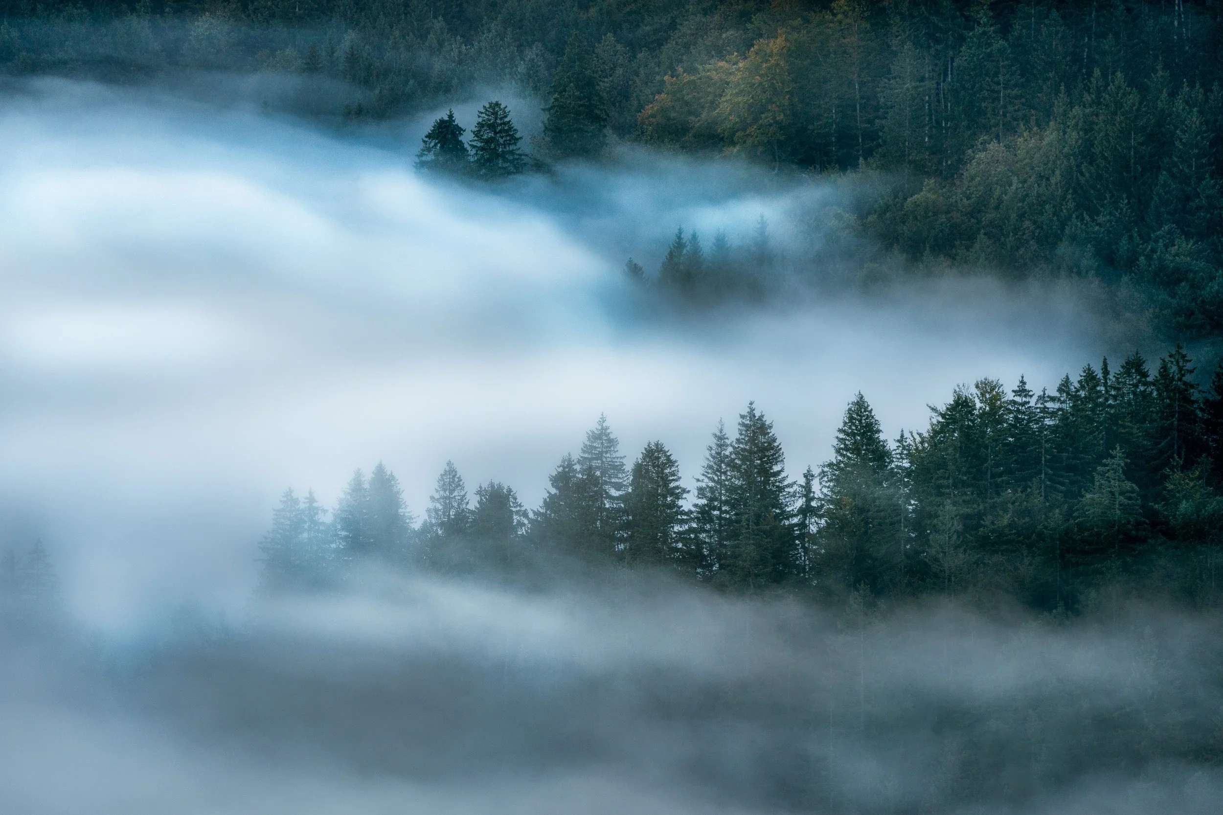 Dimitry Papkov Photography