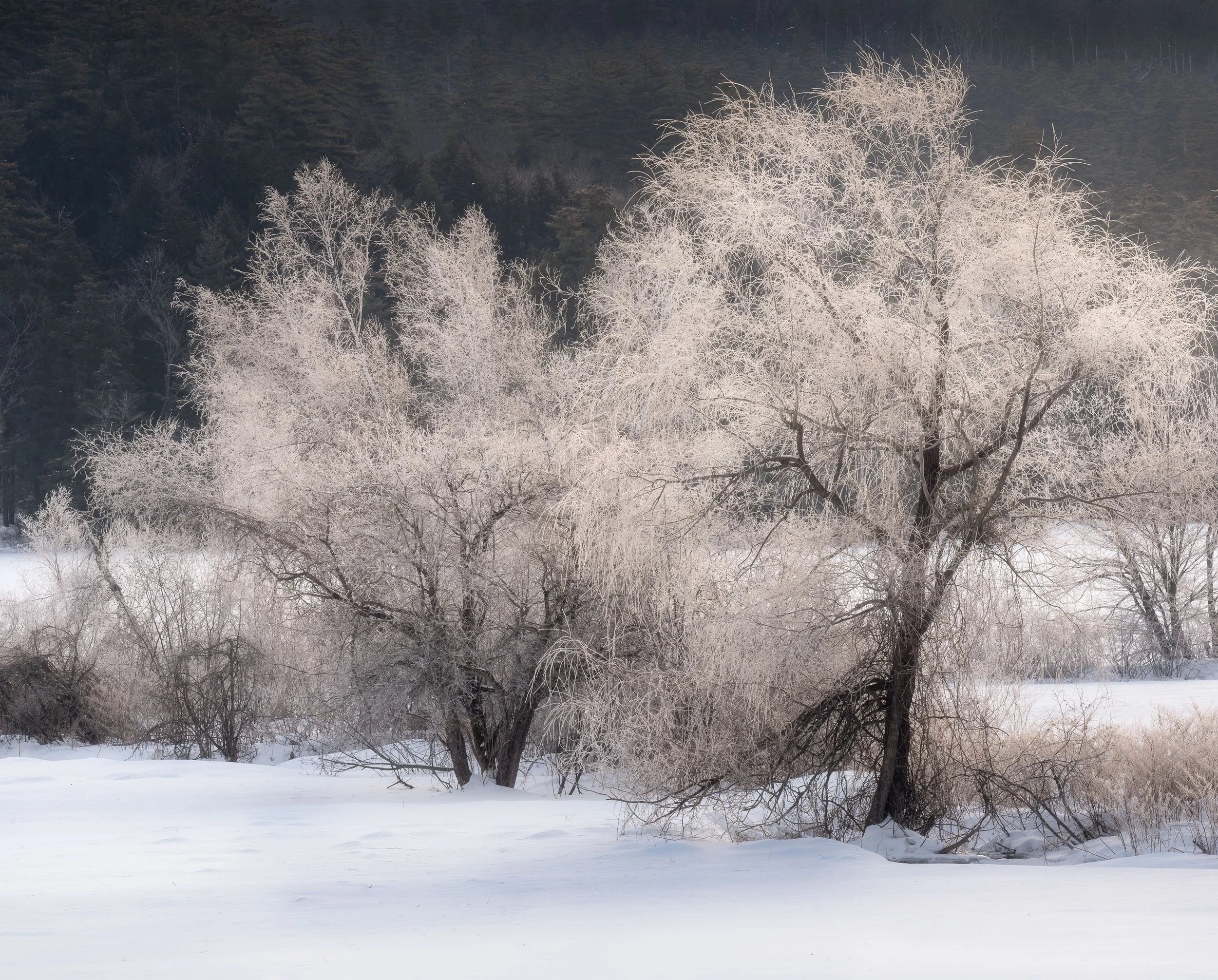 Dimitry Papkov Photography