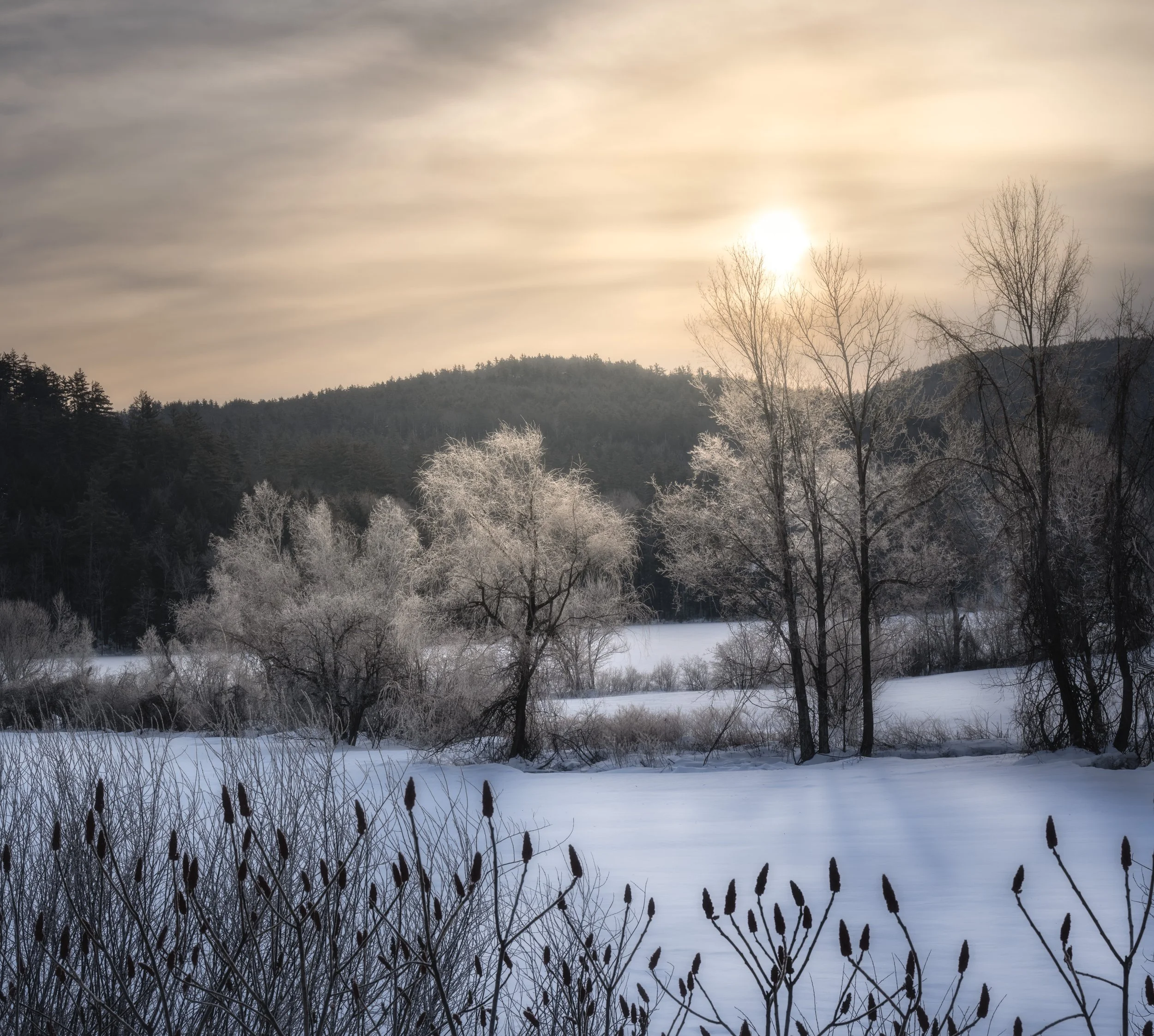 Dimitry Papkov Photography