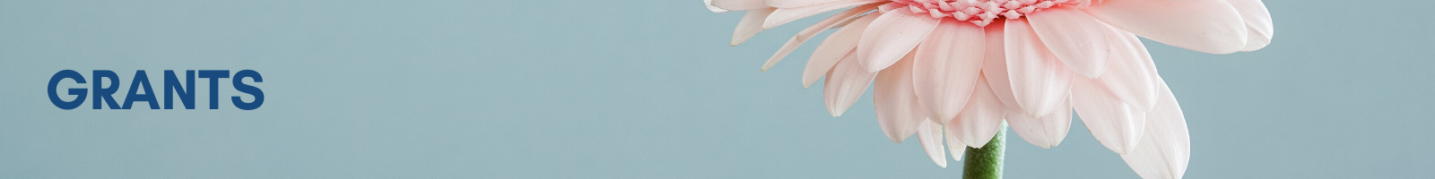 11 Ways Nonprofits Raise Money — Boss on a Budget