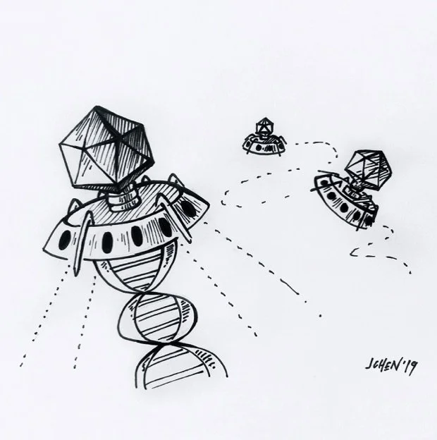 Research — MAXWELL LAB