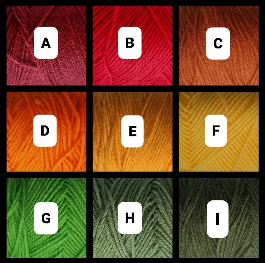 Shop — Nichet Crochet - Crochet Opossums