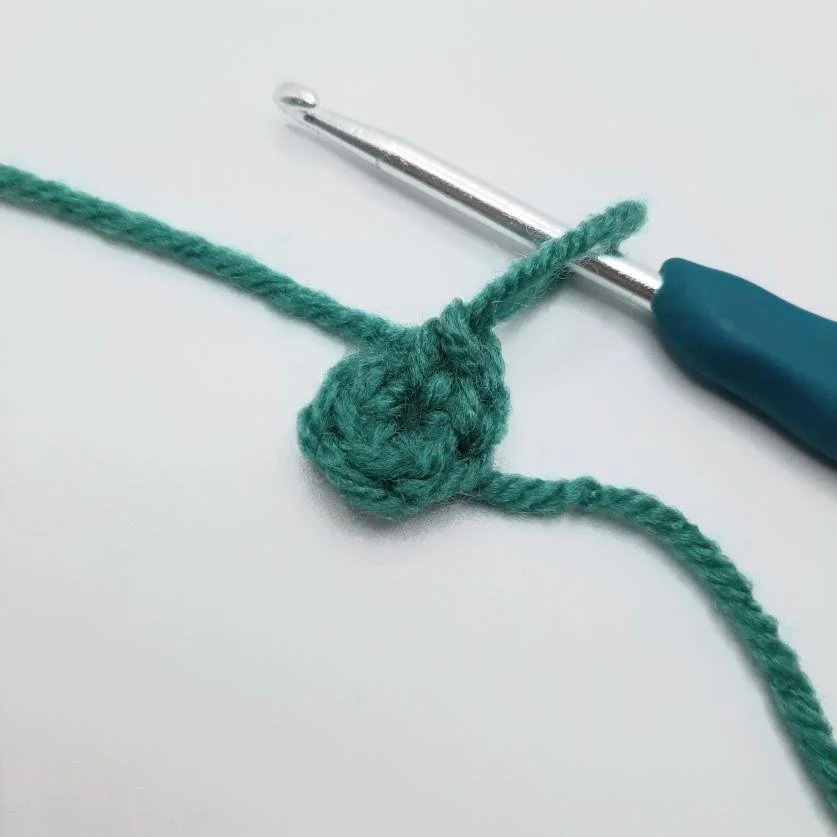 Worm on a String - Free Crochet Pattern by Nichet Crochet — Nichet Crochet