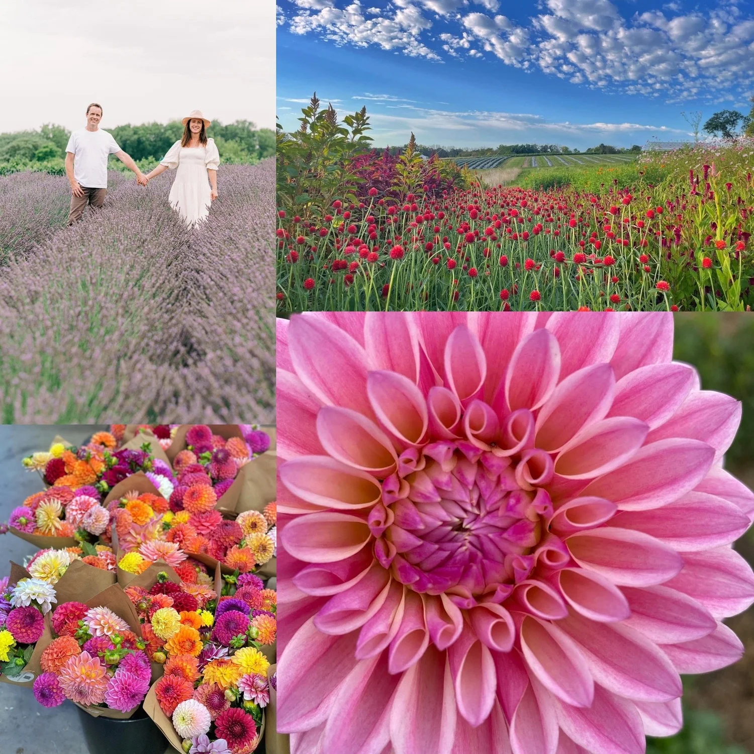 %Madison County Fall Crawl