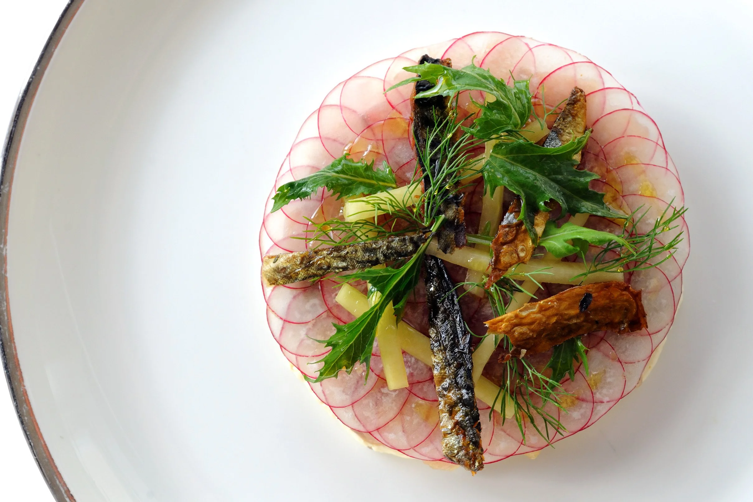Thompson's Restaurant | Reserve Your Table Today — Chef Robert Thompson ...