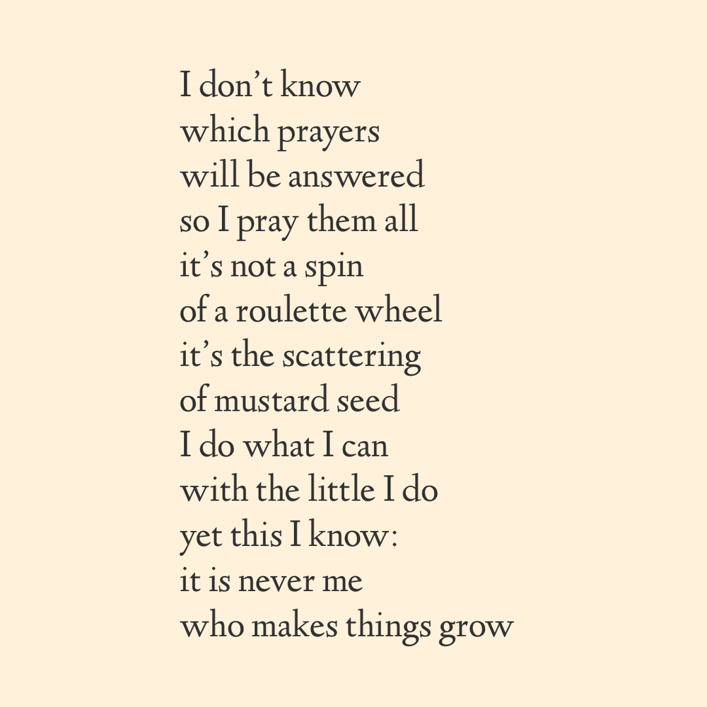 David Gate Poet