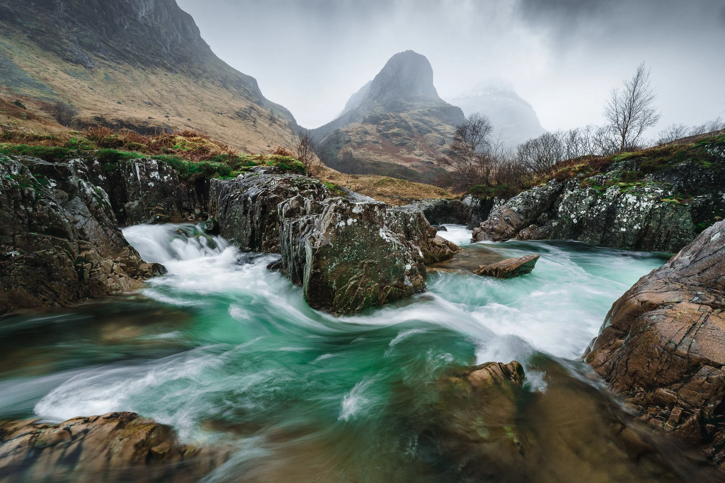 Scotland — NIGEL DANSON