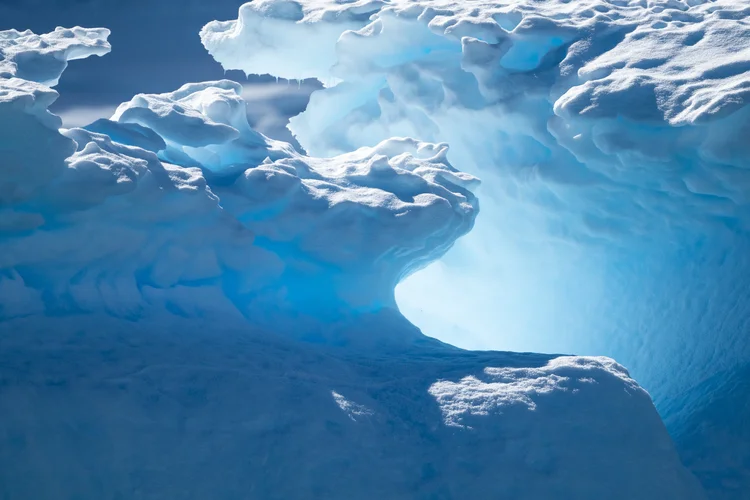 Antarctica — NIGEL DANSON