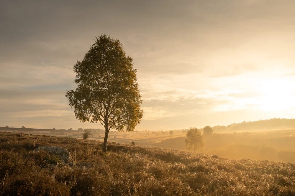 Landscape Photography by Nigel Danson | UK