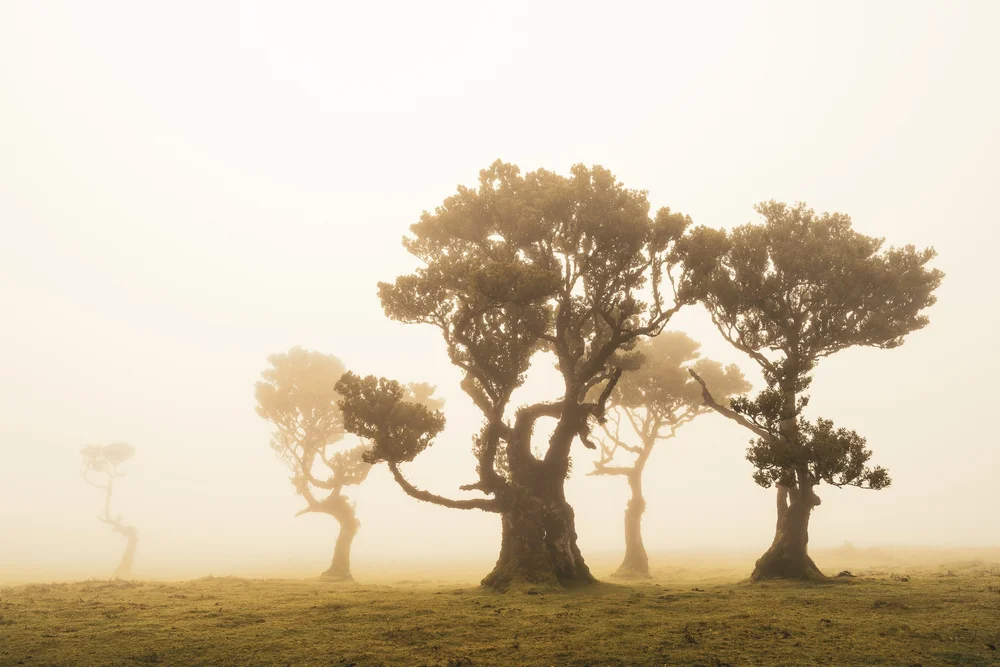 Landscape Photographer Masterclass — NIGEL DANSON