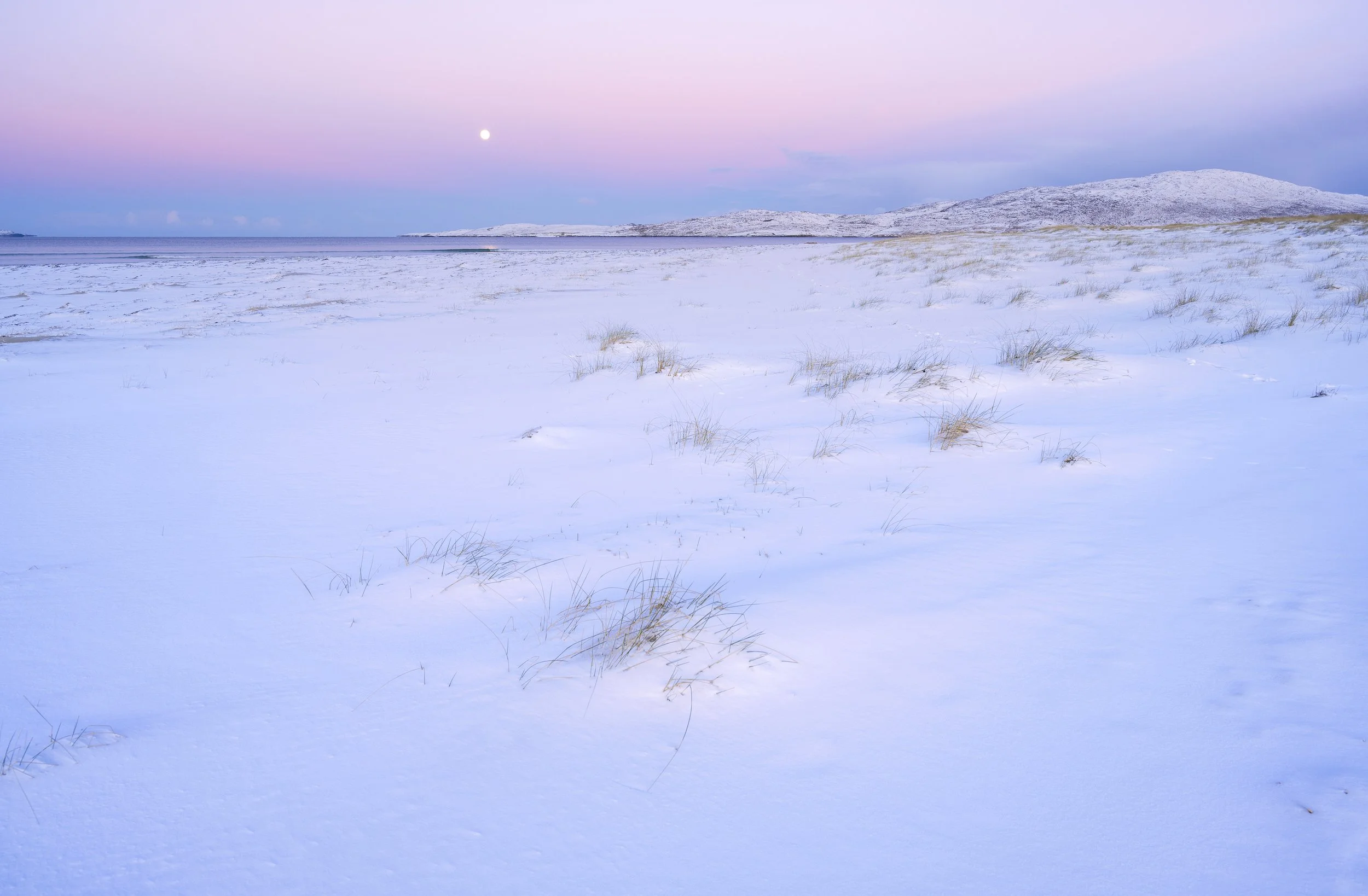 Gallery — NIGEL DANSON