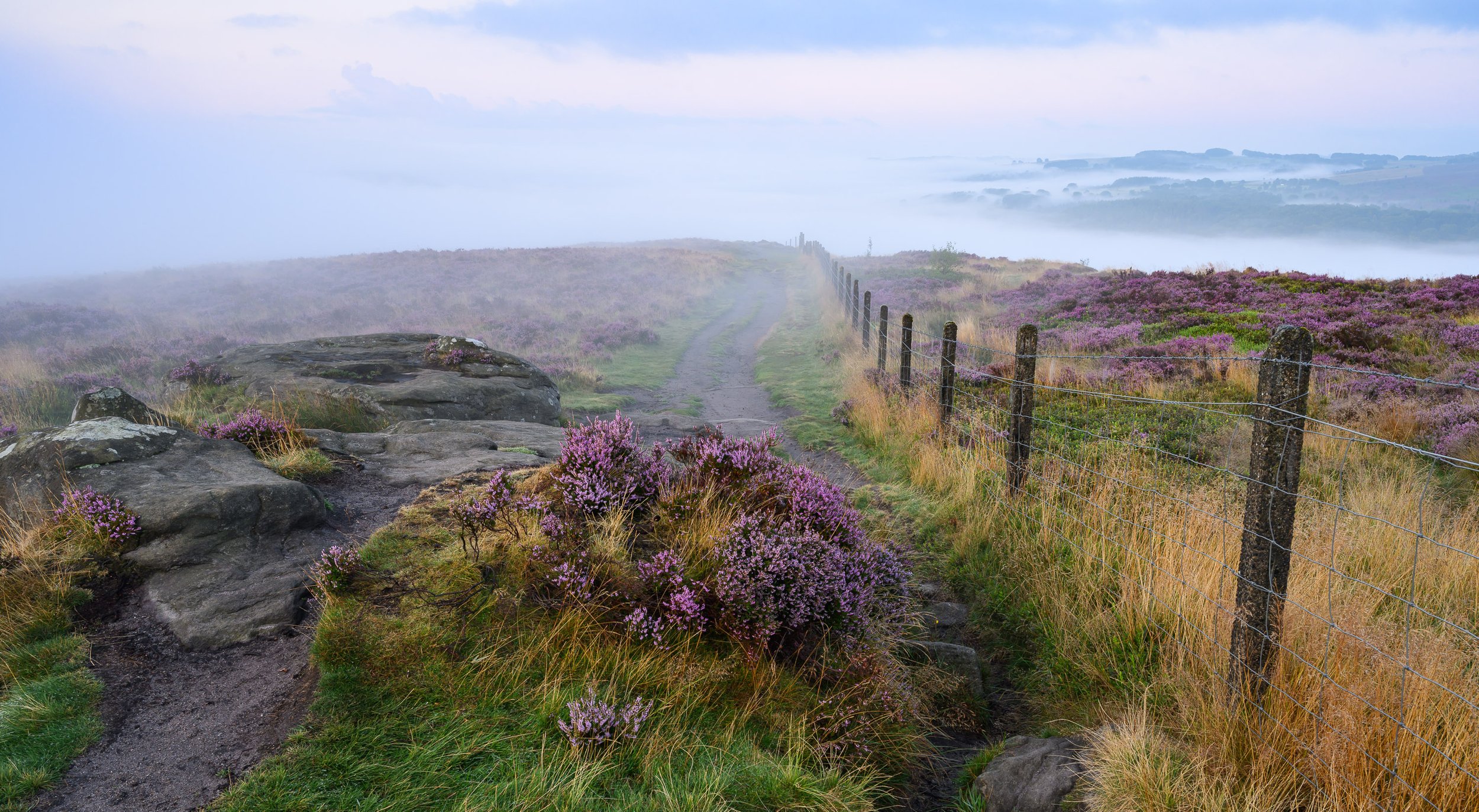 Blog 1 — NIGEL DANSON
