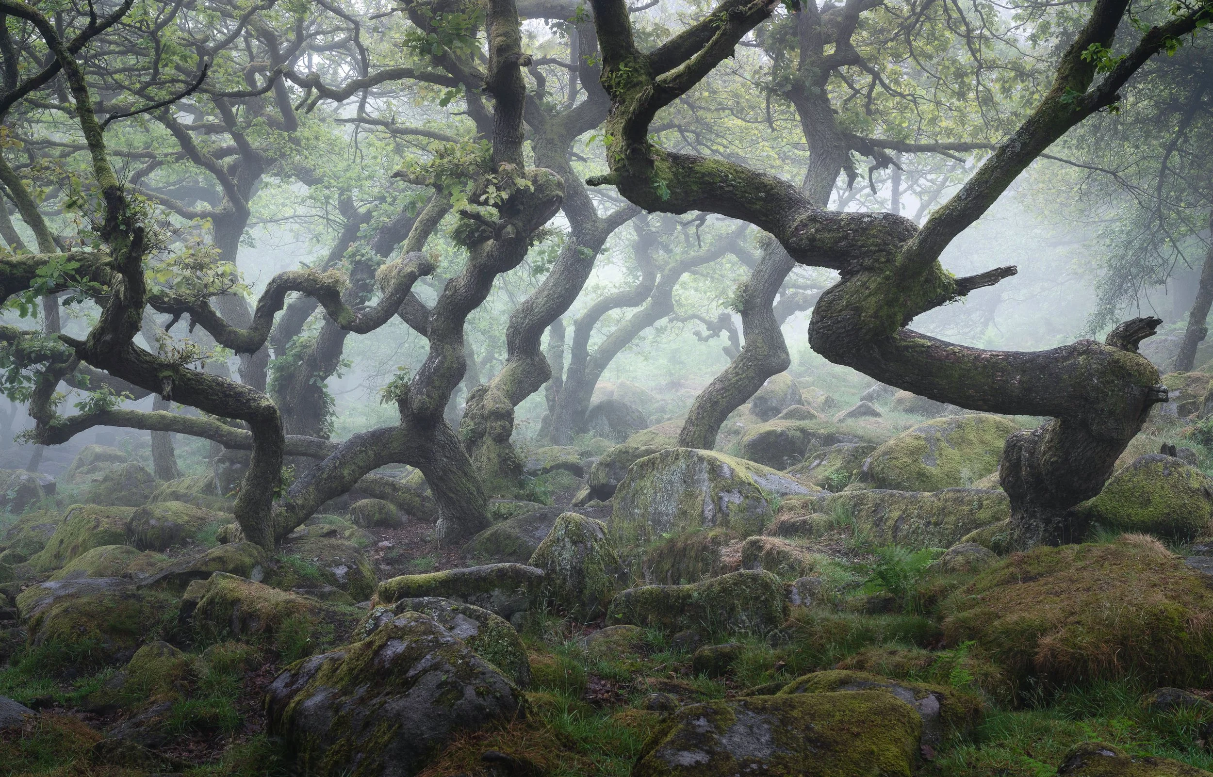 Landscape Photography by Nigel Danson | UK