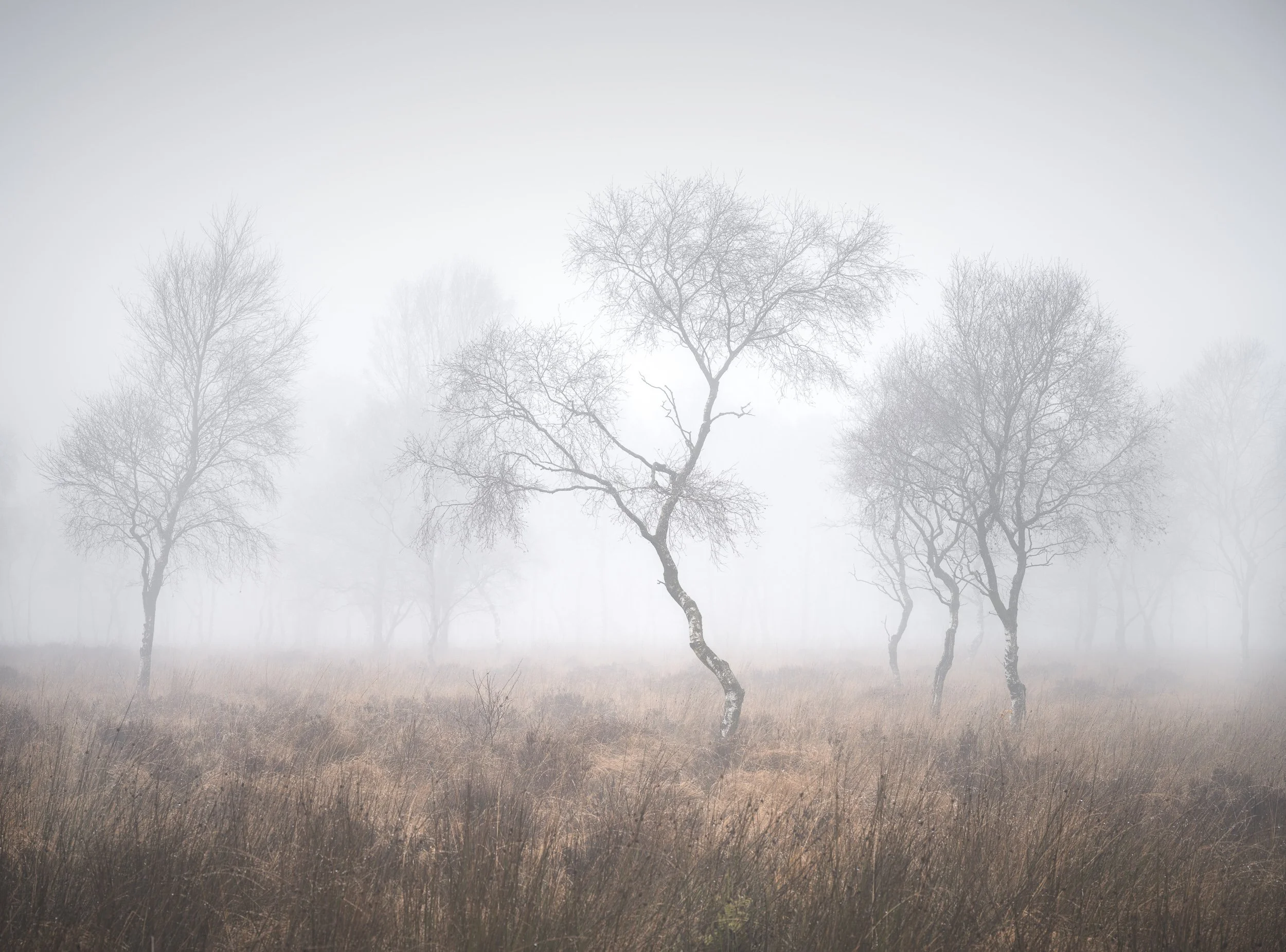 Landscape Photography by Nigel Danson | UK