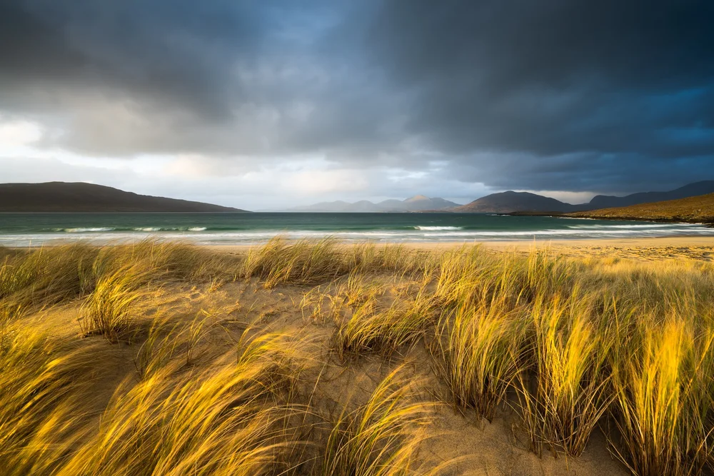 Luskentyre — NIGEL DANSON