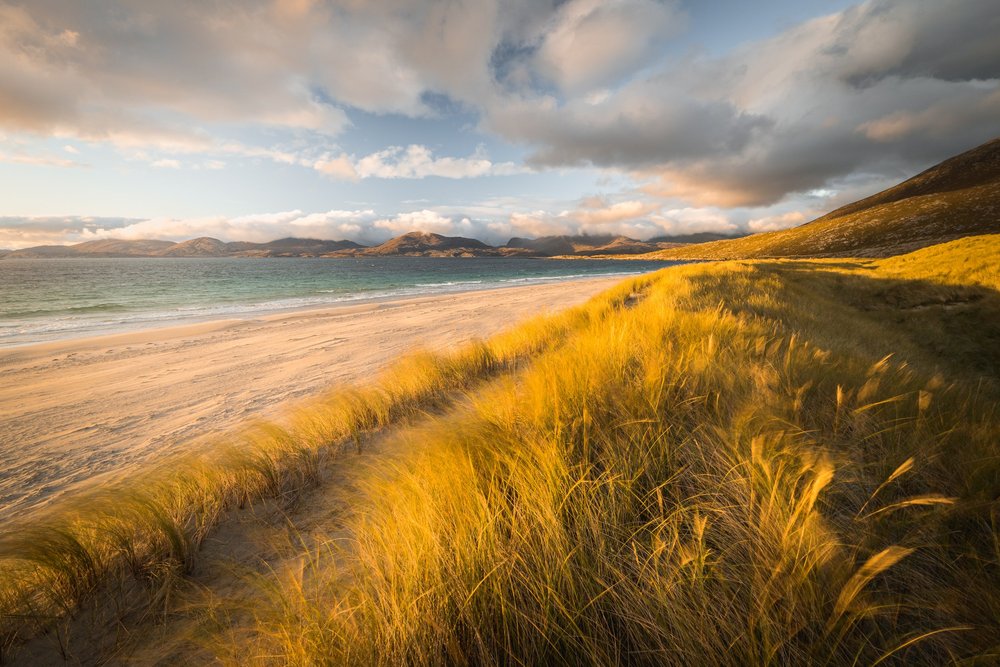 Scotland — NIGEL DANSON