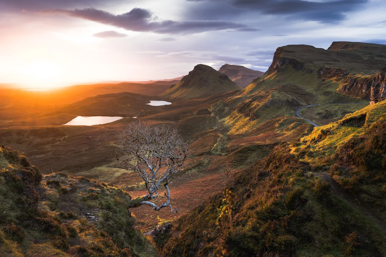 Scotland — NIGEL DANSON