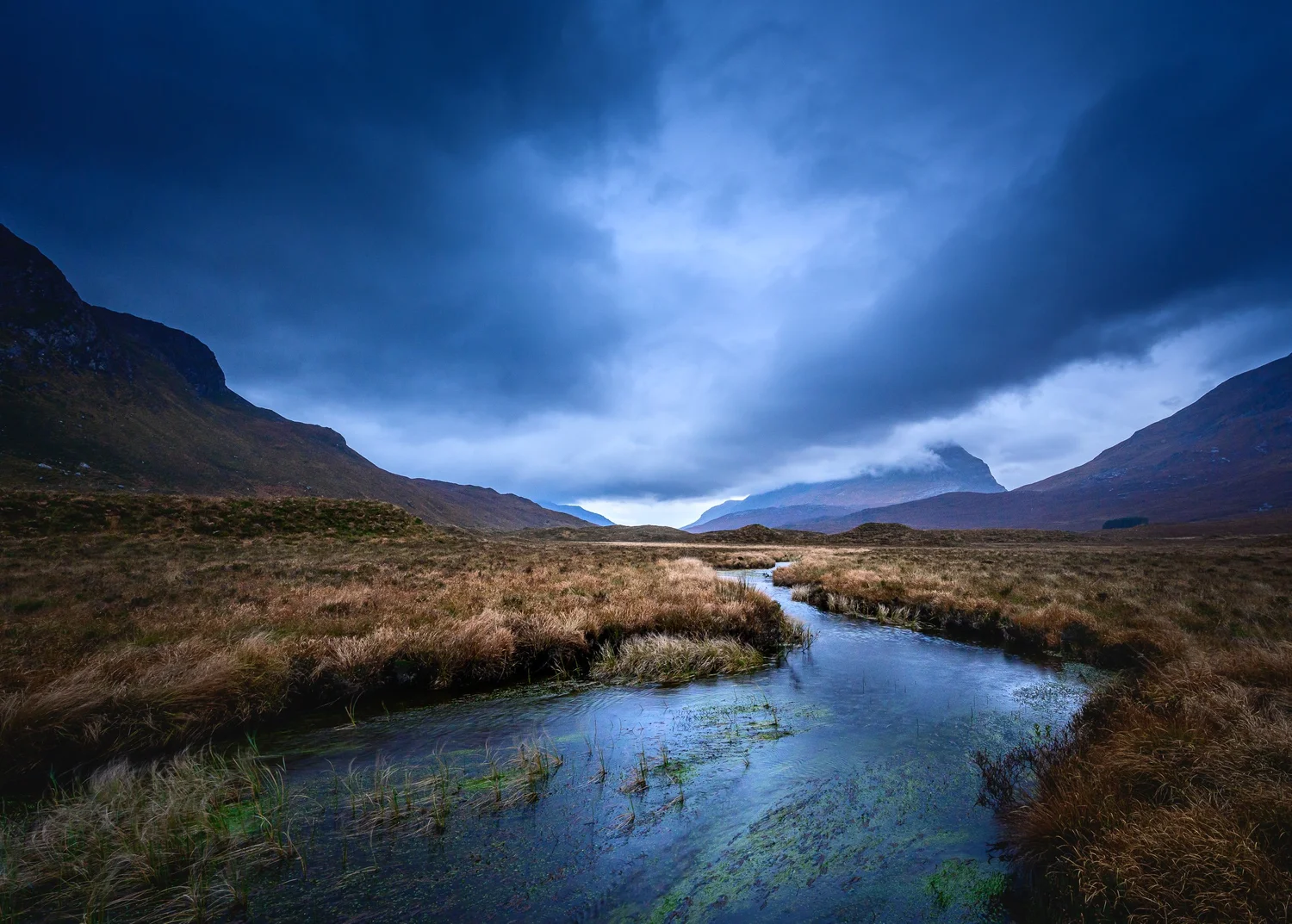 Scotland — NIGEL DANSON