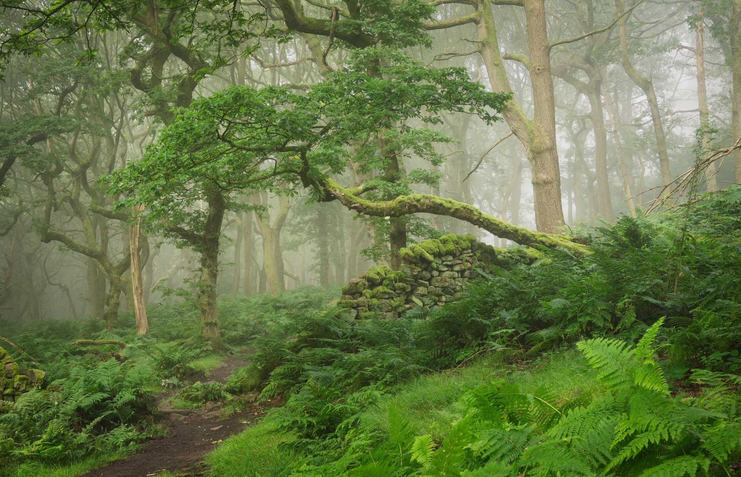 Landscape Photography by Nigel Danson | UK