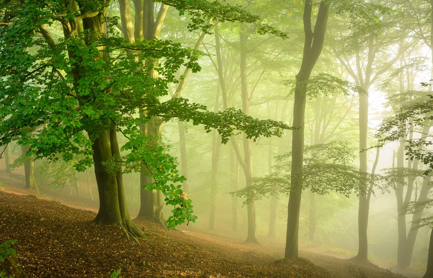 Landscape Photography by Nigel Danson | UK