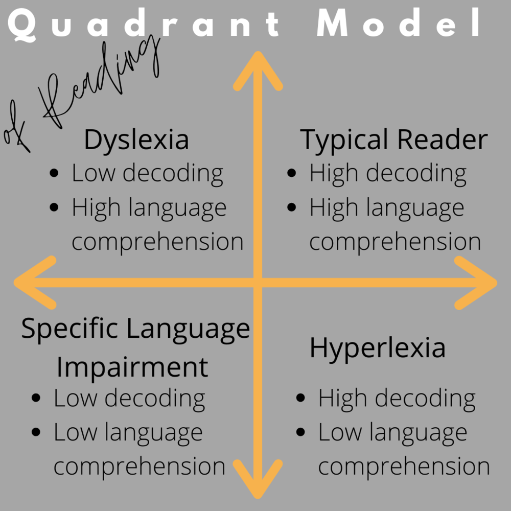 Common Reading Disabilities Explained — Reading Rev