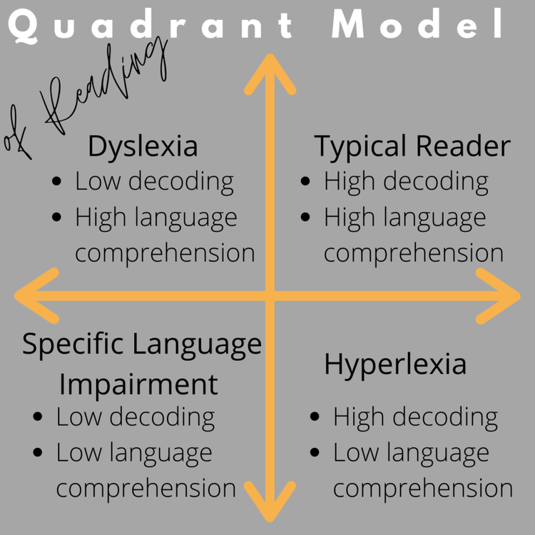 Common Reading Disabilities Explained — Reading Rev